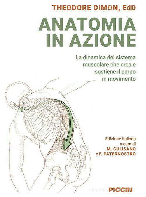 Anatomia in azione. La dinamica del sistema muscolare che crea e ...