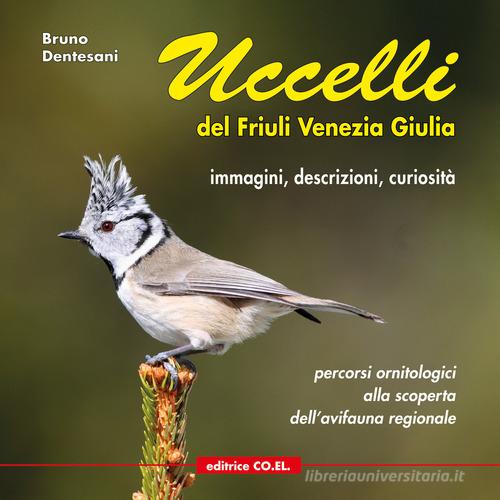 Uccelli del Friuli Venezia Giulia. Immagini, descrizioni, curiosità ...