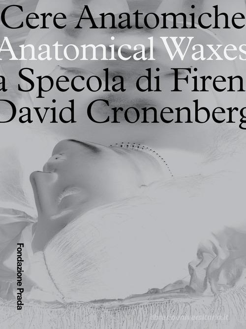 Cere anatomiche. Anatomical Waxes. La Specola di Firenze. David ...