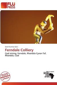 Ferndale Colliery - - Flu Press - Libro in lingua lingua straniera ...